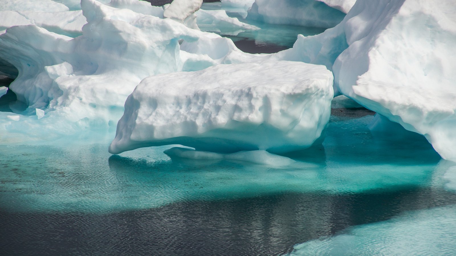 Greenland ice sheet melting at unprecedented rate