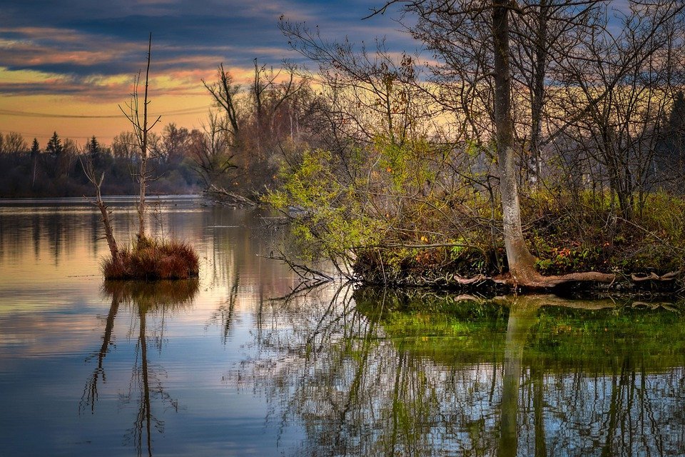 Private protected areas can help with the world’s conservation efforts