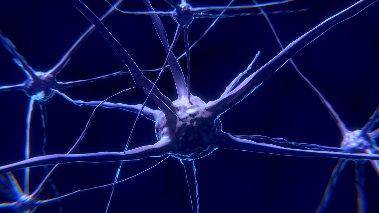 Synthetic nerve cells work almost like a biological nerve cell