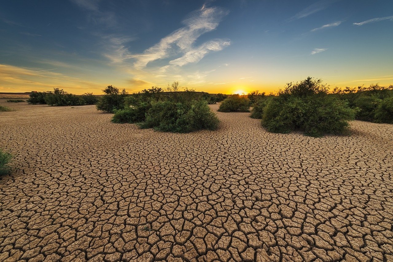 Flash droughts are becoming the “new normal”