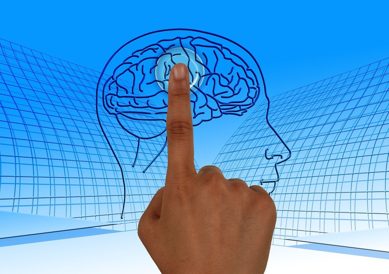 Intelligent brains take longer to complete tasks but make fewer mistakes Intelligent brains take longer to complete tasks but make fewer mistakes