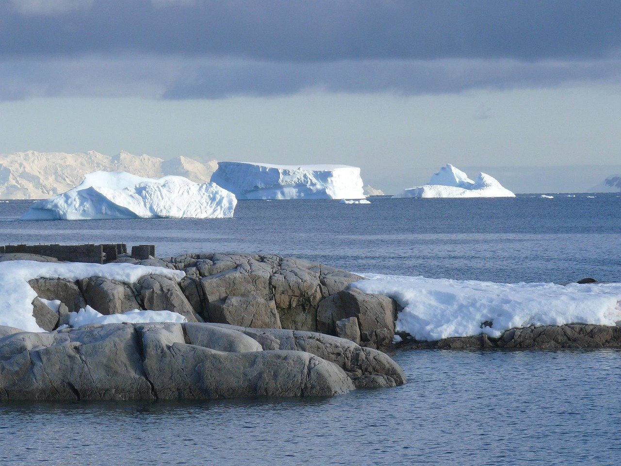 Krill fishing in the Southern Ocean interferes with wildlife